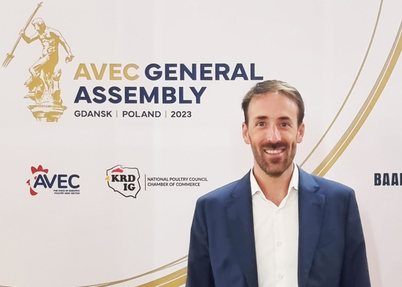 Iokin Zuloaga, nuevo vicepresidente de AVEC - Grupo AN